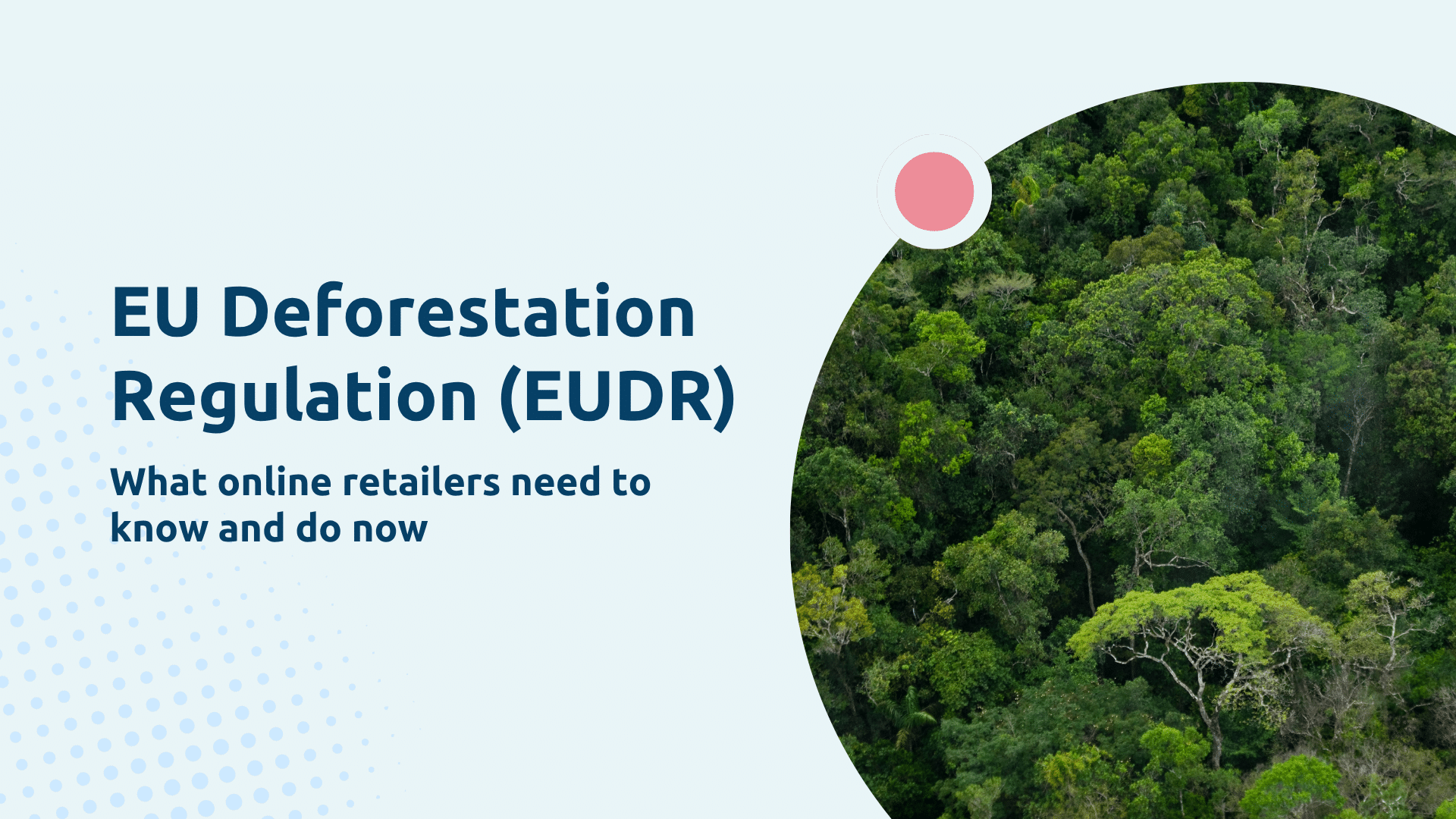 EU Deforestation Regulation (EUDR): What you need to know - Blog | MS ...